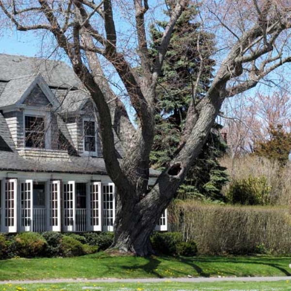 Mill House Inn • East Hampton, NY - The Art of Hospitality